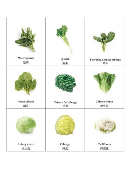 叶菜类蔬菜有哪些_叶菜类蔬菜图片及名称-第3张图片-山城妙识 叶菜类蔬菜有哪些_叶菜类蔬菜图片及名称-第3张图片-山城妙识