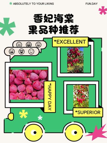 海棠果有几种_海棠果品种大全-第3张图片-山城妙识 海棠果有几种_海棠果品种大全-第3张图片-山城妙识