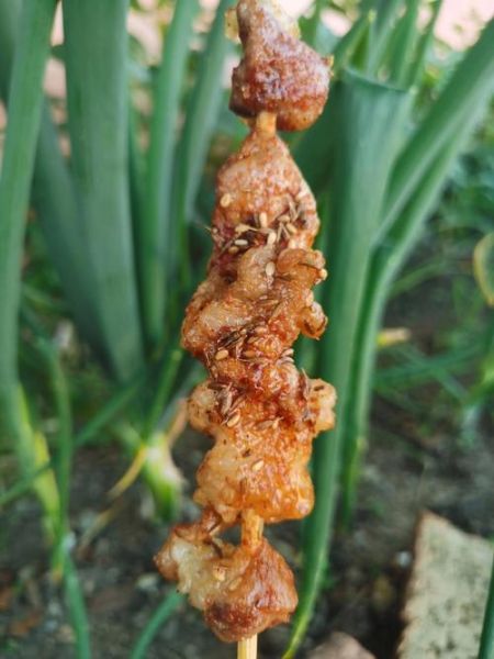碳烤羊肉串怎么腌制_碳烤羊肉串腌制配方-第3张图片-山城妙识