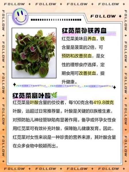 女人吃苋菜有什么好处_女人吃苋菜能补血吗-第3张图片-山城妙识