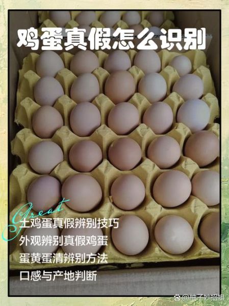 假鸡蛋炒出来什么样子_如何一眼识别假鸡蛋-第3张图片-山城妙识