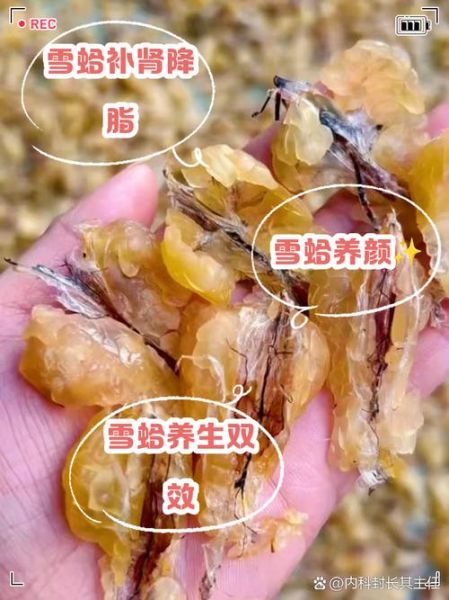 雪蛤是什么做的_雪蛤原料和做法详解-第1张图片-山城妙识