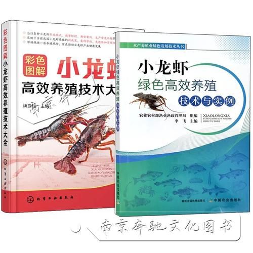 小龙虾养殖技术_龙虾如何养殖-第2张图片-山城妙识