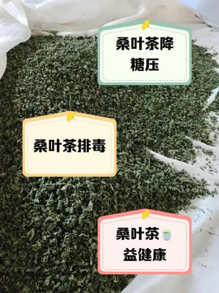 桑叶降血糖吗_桑叶茶怎么喝才有效-第2张图片-山城妙识