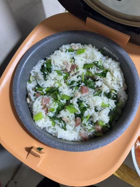 咸肉菜饭怎么做才好吃_咸肉菜饭用什么米最好-第1张图片-山城妙识