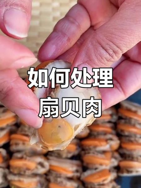 扇贝哪些部位不能吃_扇贝内脏怎么去除-第1张图片-山城妙识 扇贝哪些部位不能吃_扇贝内脏怎么去除-第1张图片-山城妙识