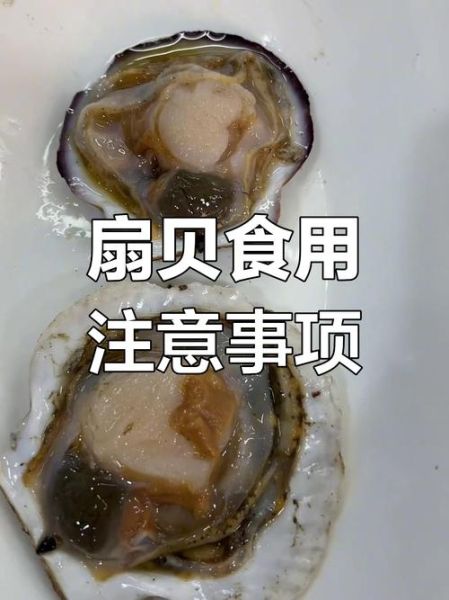 扇贝哪些部位不能吃_扇贝内脏怎么去除-第2张图片-山城妙识 扇贝哪些部位不能吃_扇贝内脏怎么去除-第2张图片-山城妙识