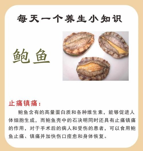 新鲜鲍鱼怎么处理干净_鲍鱼内脏怎么去除-第2张图片-山城妙识