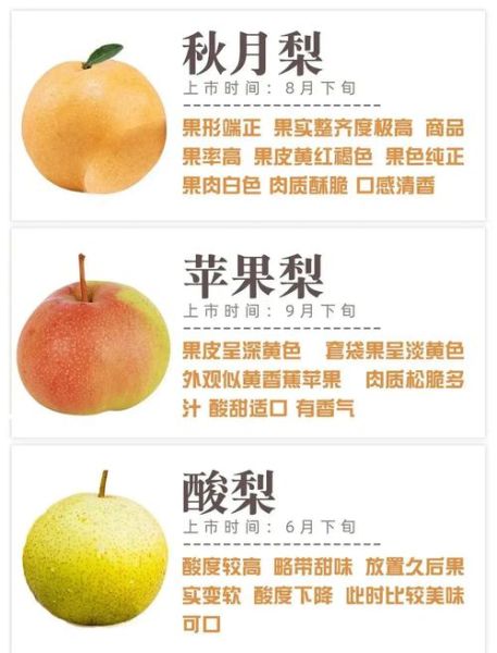梨的种类有哪些_常见梨品种名称大全-第2张图片-山城妙识 梨的种类有哪些_常见梨品种名称大全-第2张图片-山城妙识