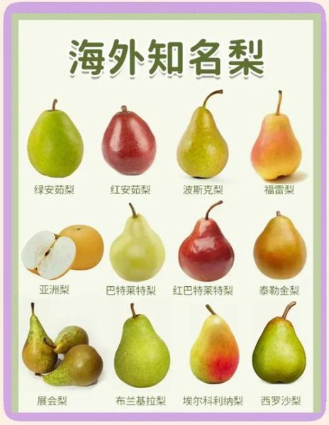 梨的种类有哪些_常见梨品种名称大全-第1张图片-山城妙识 梨的种类有哪些_常见梨品种名称大全-第1张图片-山城妙识