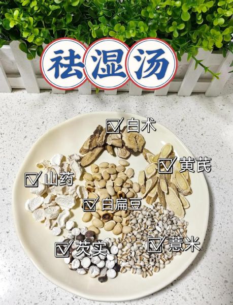清热祛湿汤的做法_湿热体质喝什么汤好-第3张图片-山城妙识