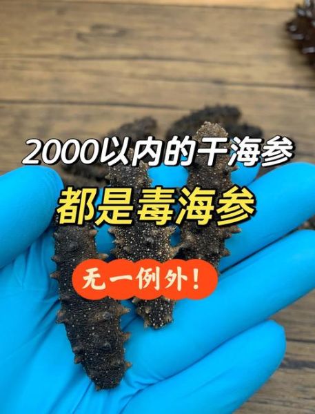 干海参价格多少钱一斤_干海参价格为什么差距那么大-第2张图片-山城妙识