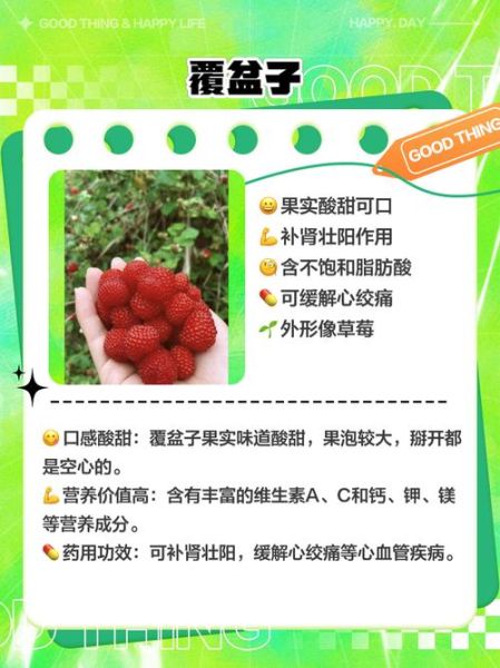 树莓果的功效与作用_树莓果怎么吃最好-第1张图片-山城妙识