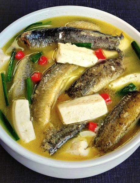 泥鳅豆腐汤怎么做不腥_泥鳅豆腐汤的做法窍门-第1张图片-山城妙识