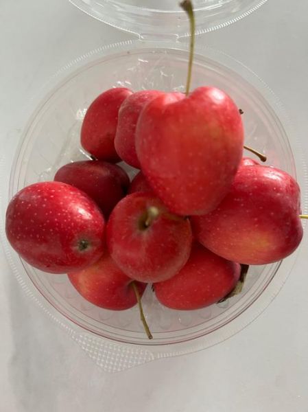 鸡心果是什么水果_鸡心果好吃吗-第2张图片-山城妙识