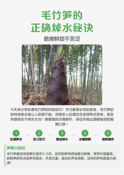 毛竹笋怎么炒_毛竹笋炒之前要焯水吗-第1张图片-山城妙识