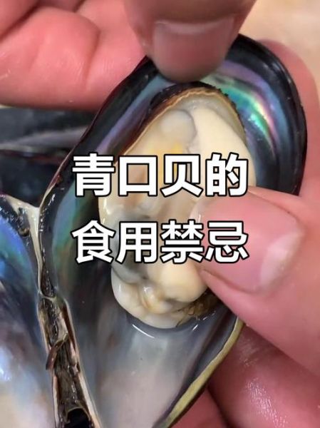 青口贝整个都可以吃吗_青口贝哪些部位不能吃-第1张图片-山城妙识