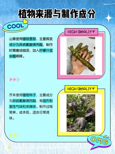 山葵和芥末的区别_山葵和芥末哪个更辣-第1张图片-山城妙识