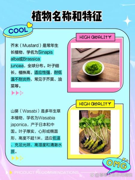 山葵和芥末的区别_山葵和芥末哪个更辣-第2张图片-山城妙识