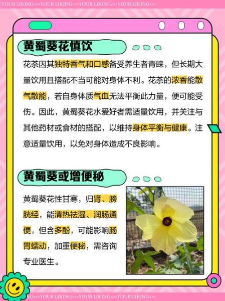 黄蜀葵花什么人不能吃_黄蜀葵花的禁忌人群有哪些-第1张图片-山城妙识