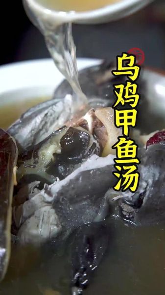 乌鸡甲鱼汤的做法_如何炖出奶白色浓汤-第1张图片-山城妙识 乌鸡甲鱼汤的做法_如何炖出奶白色浓汤-第1张图片-山城妙识