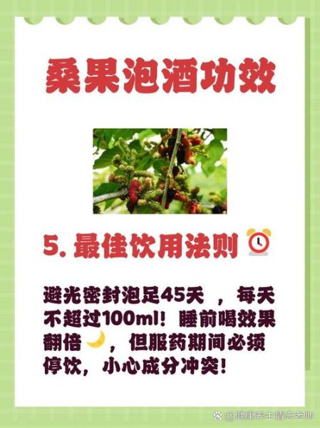 桑葚泡酒多久可以喝_桑葚酒泡多久最佳-第3张图片-山城妙识