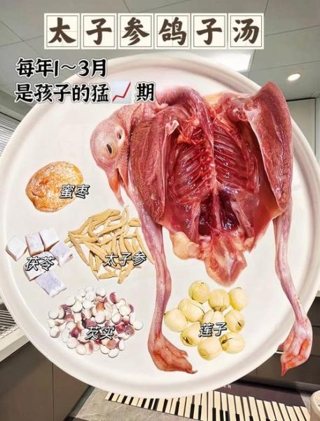 炖鸽子汤的做法_儿童能喝吗-第3张图片-山城妙识