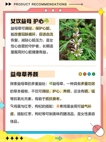 女性长期喝益母草对身体好吗_益母草长期饮用的副作用-第1张图片-山城妙识