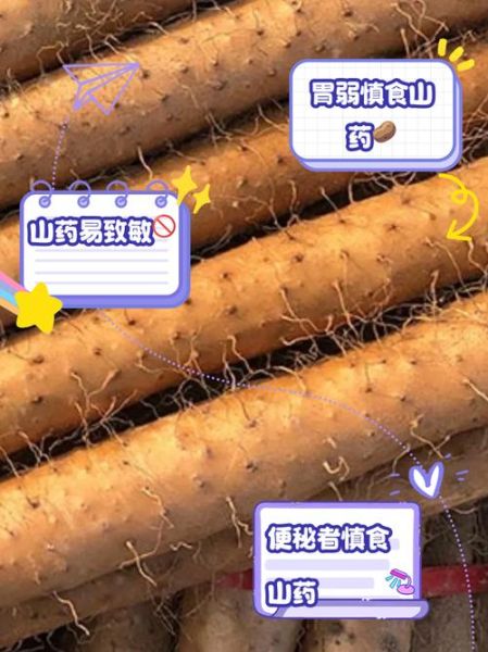 哪些人不能吃山药_山药禁忌人群-第1张图片-山城妙识