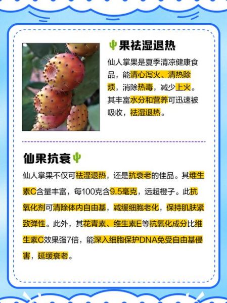 仙人掌果实有什么功效_仙人掌果实怎么吃最好-第3张图片-山城妙识