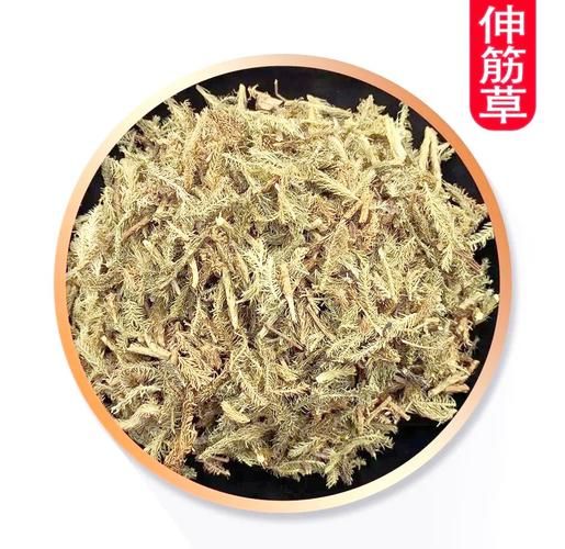 伸筋草主治什么病_伸筋草怎么用效果好-第2张图片-山城妙识