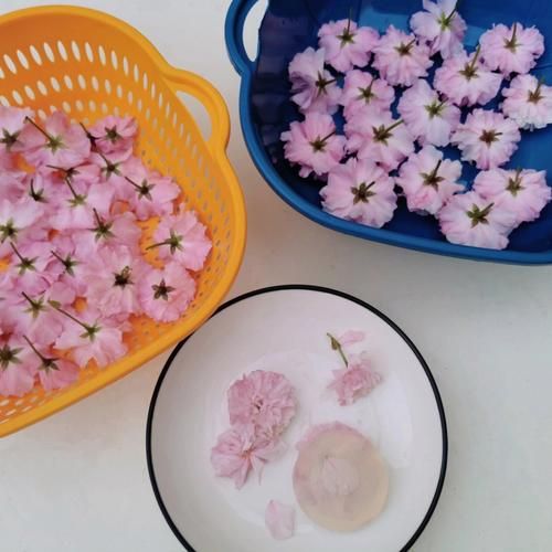 日本樱花果冻哪里买_樱花果冻好吃吗-第2张图片-山城妙识