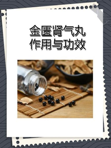 什么药补肾气效果最好_肾气不足吃什么药最快-第3张图片-山城妙识