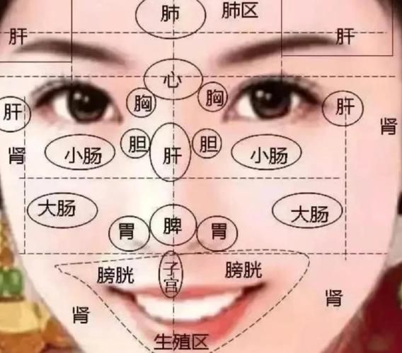 脸上长痘对应五脏示意图_如何调理-第1张图片-山城妙识