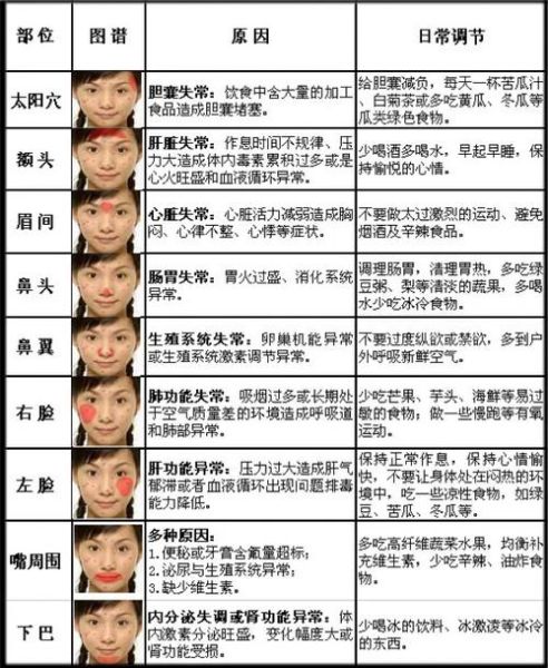 脸上长痘对应五脏示意图_如何调理-第3张图片-山城妙识