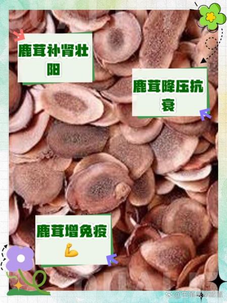 男人吃鹿茸有什么好处_鹿茸对男性真的有用吗-第1张图片-山城妙识 男人吃鹿茸有什么好处_鹿茸对男性真的有用吗-第1张图片-山城妙识