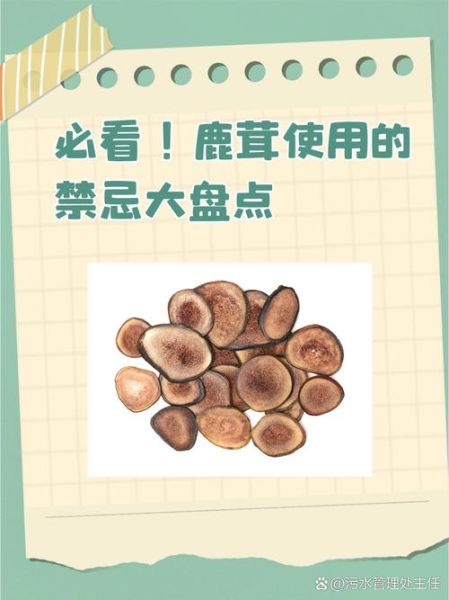 男人吃鹿茸有什么好处_鹿茸对男性真的有用吗-第3张图片-山城妙识 男人吃鹿茸有什么好处_鹿茸对男性真的有用吗-第3张图片-山城妙识