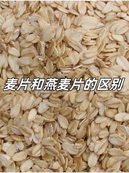 燕麦片和麦片的区别_怎么区分燕麦片和麦片-第2张图片-山城妙识 燕麦片和麦片的区别_怎么区分燕麦片和麦片-第2张图片-山城妙识