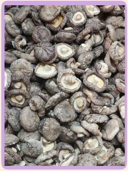 冬菇长什么样_冬菇和香菇的区别-第1张图片-山城妙识