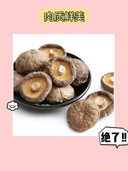 冬菇长什么样_冬菇和香菇的区别-第3张图片-山城妙识