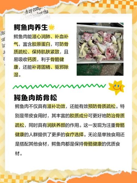 鳄鱼肉的营养价值_鳄鱼肉的副作用-第1张图片-山城妙识 鳄鱼肉的营养价值_鳄鱼肉的副作用-第1张图片-山城妙识