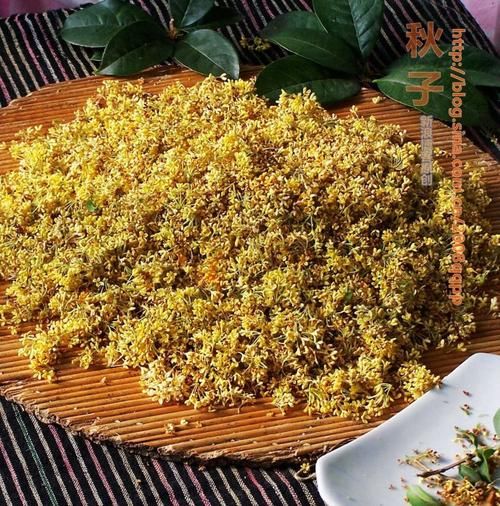 桂花蜜by居无竹下载_哪里能看全文-第2张图片-山城妙识