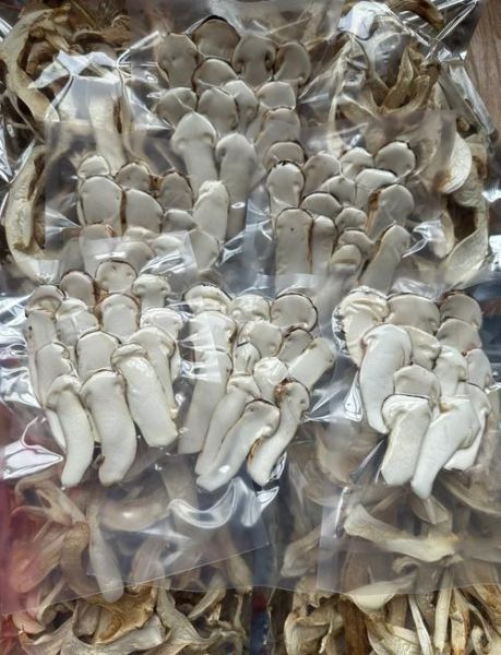 干松茸要泡多久_干松茸泡发正确方法-第3张图片-山城妙识