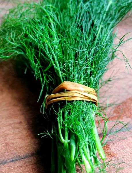 茴香苗怎么做好吃_茴香苗的吃法有哪些-第3张图片-山城妙识