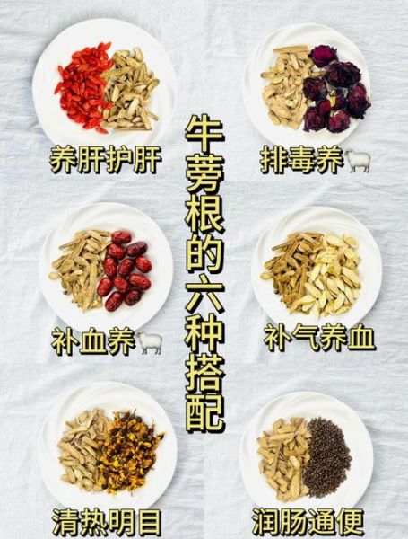 牛蒡根泡水有什么功效_牛蒡根泡水禁忌有哪些-第3张图片-山城妙识