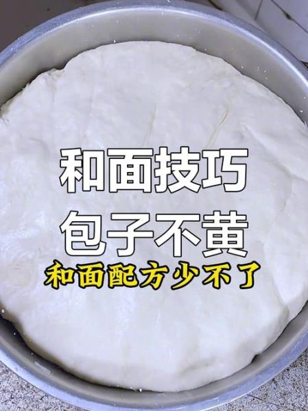 肉包子怎么和面_肉包子蒸多久才熟-第2张图片-山城妙识