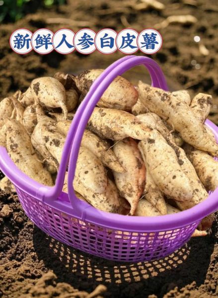 白薯怎么吃_白薯可以蒸着吃吗-第2张图片-山城妙识 白薯怎么吃_白薯可以蒸着吃吗-第2张图片-山城妙识