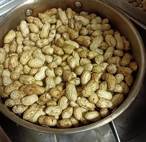 新鲜带壳花生怎么煮_水煮花生多久才入味-第2张图片-山城妙识 新鲜带壳花生怎么煮_水煮花生多久才入味-第2张图片-山城妙识