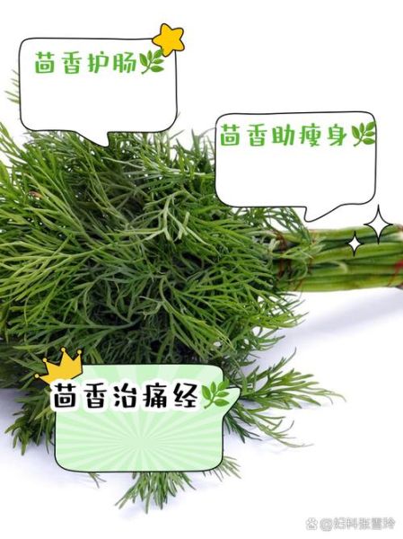 小茴香的功效与作用_孕妇能吃小茴香吗-第1张图片-山城妙识