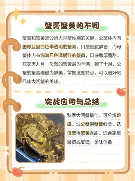 大闸蟹公母怎么区分_大闸蟹公母图片对比-第2张图片-山城妙识